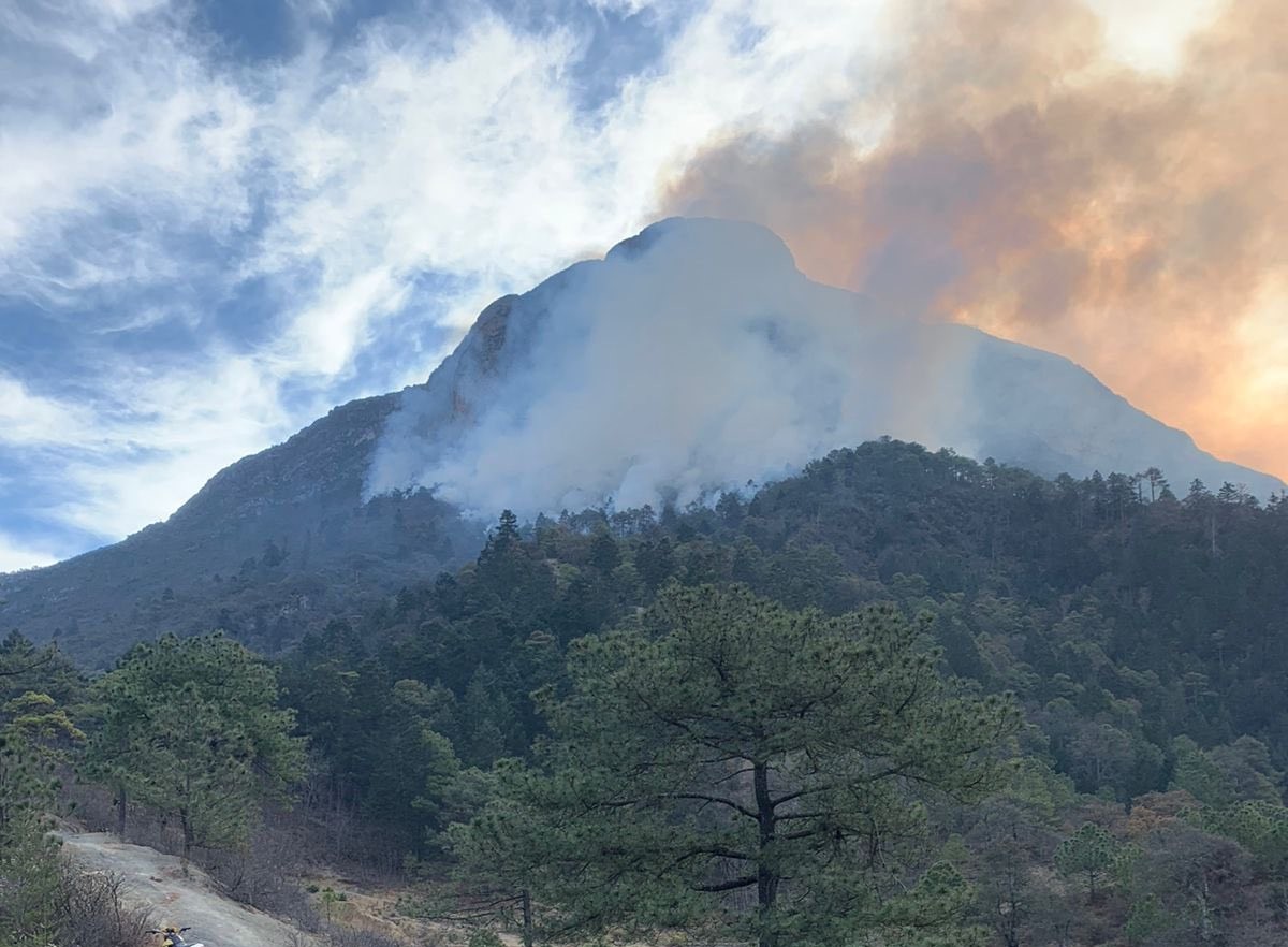 forest fires in northern Mexico - IHA News