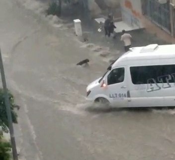 Flood in istanbul almost drowns stray dog - IHA News