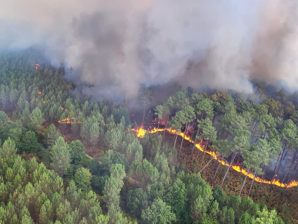 Forest fire breaks out in southwest France - IHA News