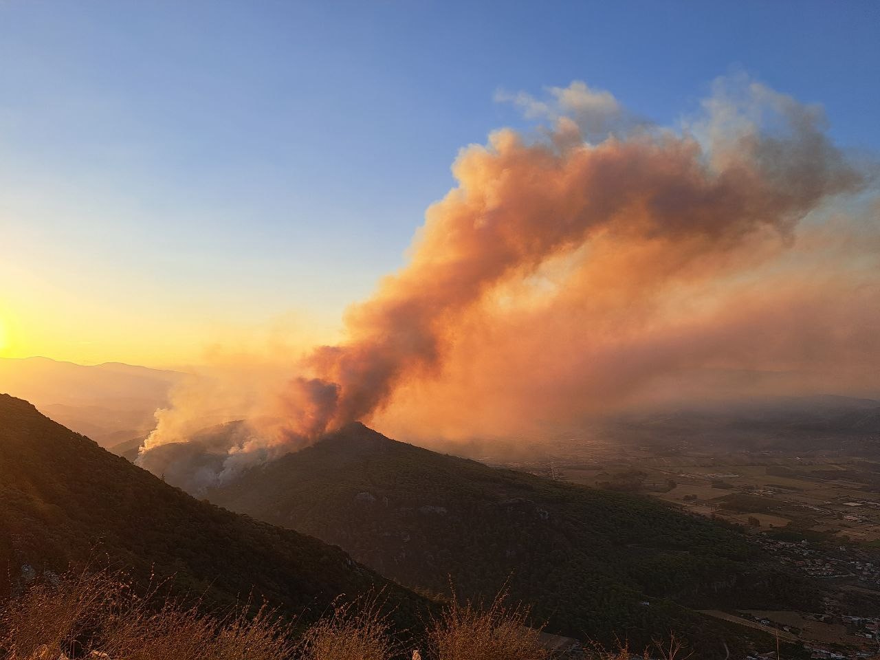 Fire at forest area in Turkey's Muğla - IHA News