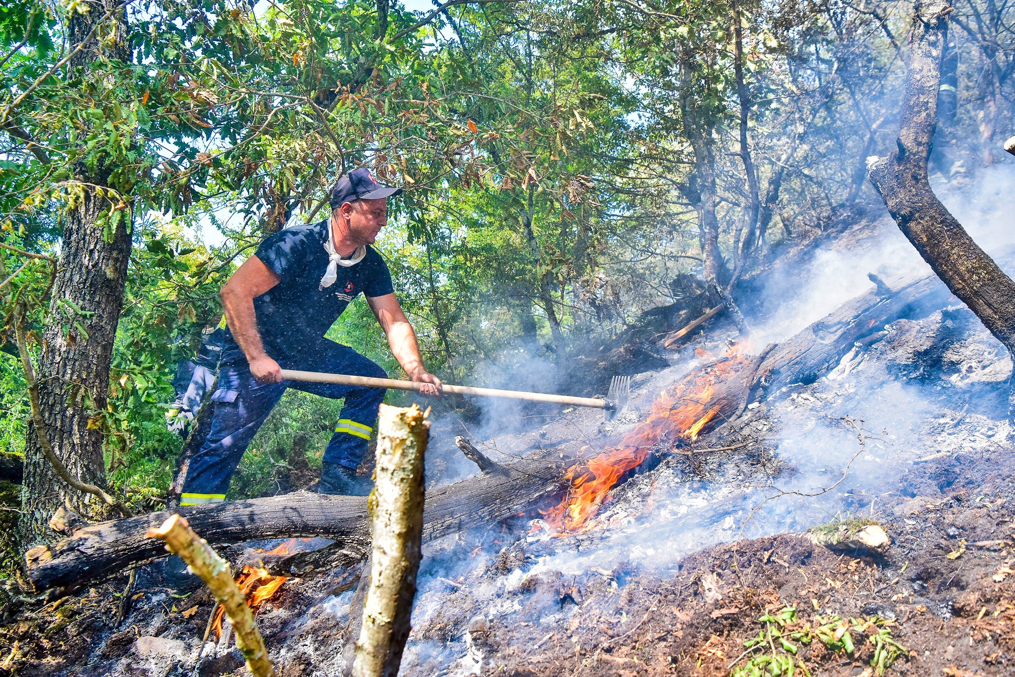 Georgia faces ongoing forest fires - IHA News
