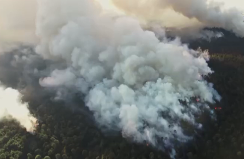 Mexico Battling Widespread Forest Fires - IHA News