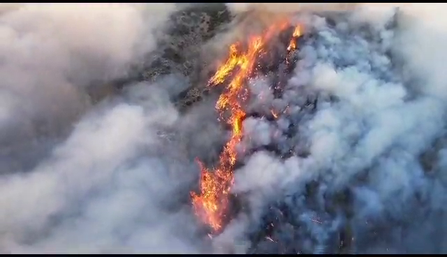 4,000 hectares burnt wildfires in mexico - IHA News