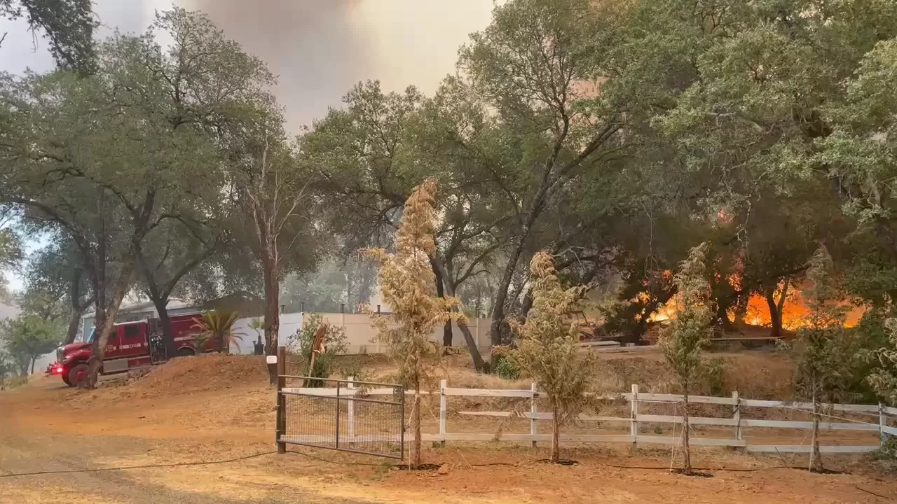 139,000 Acres Burned in Forest Fires in US - IHA News