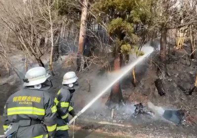 Massive Forest Fire in Japan Forces Evacuations - IHA News